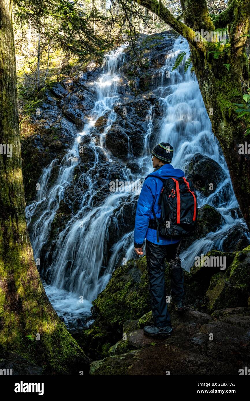 Mary vine hi-res stock photography and images - Alamy