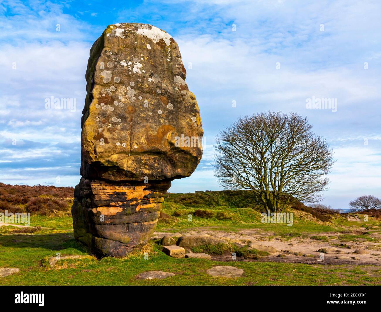 Corkstone hi-res stock photography and images - Alamy