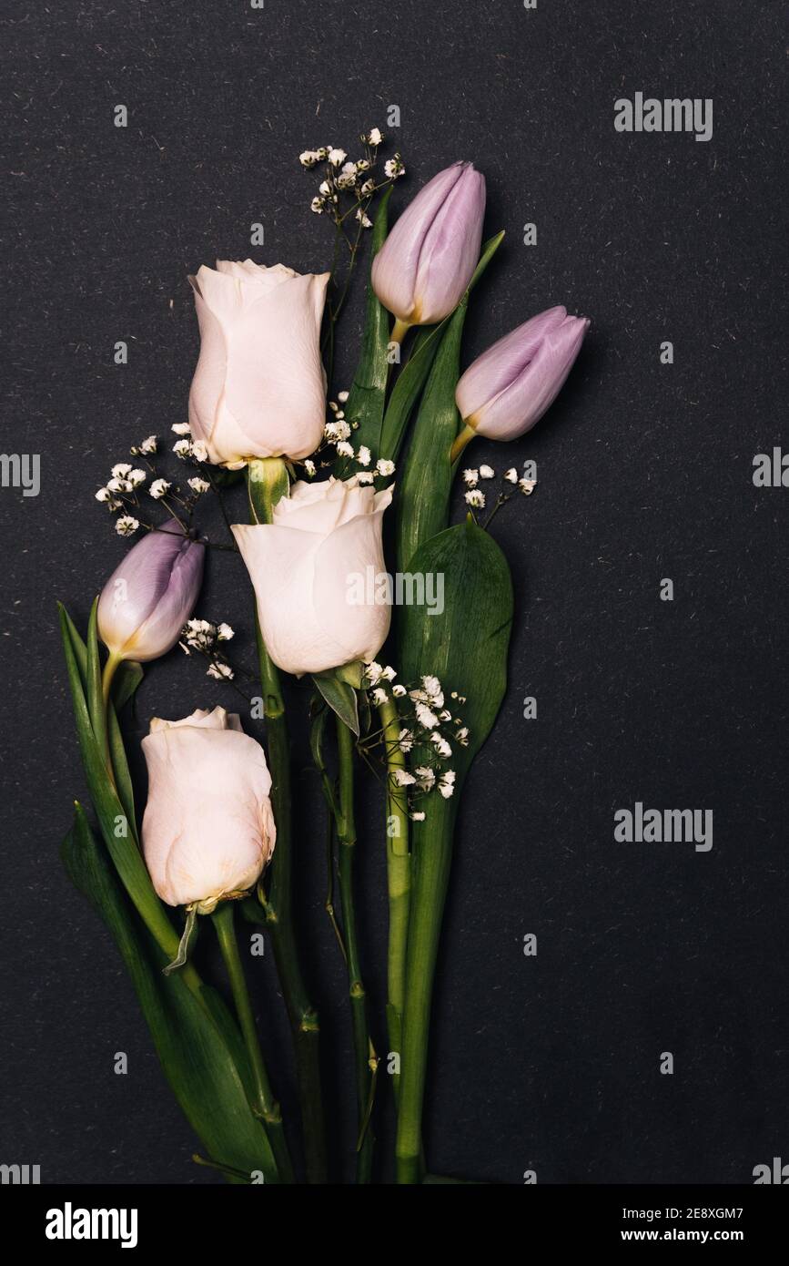 springtime flowers on dark black background. gillyflower, carnation ...