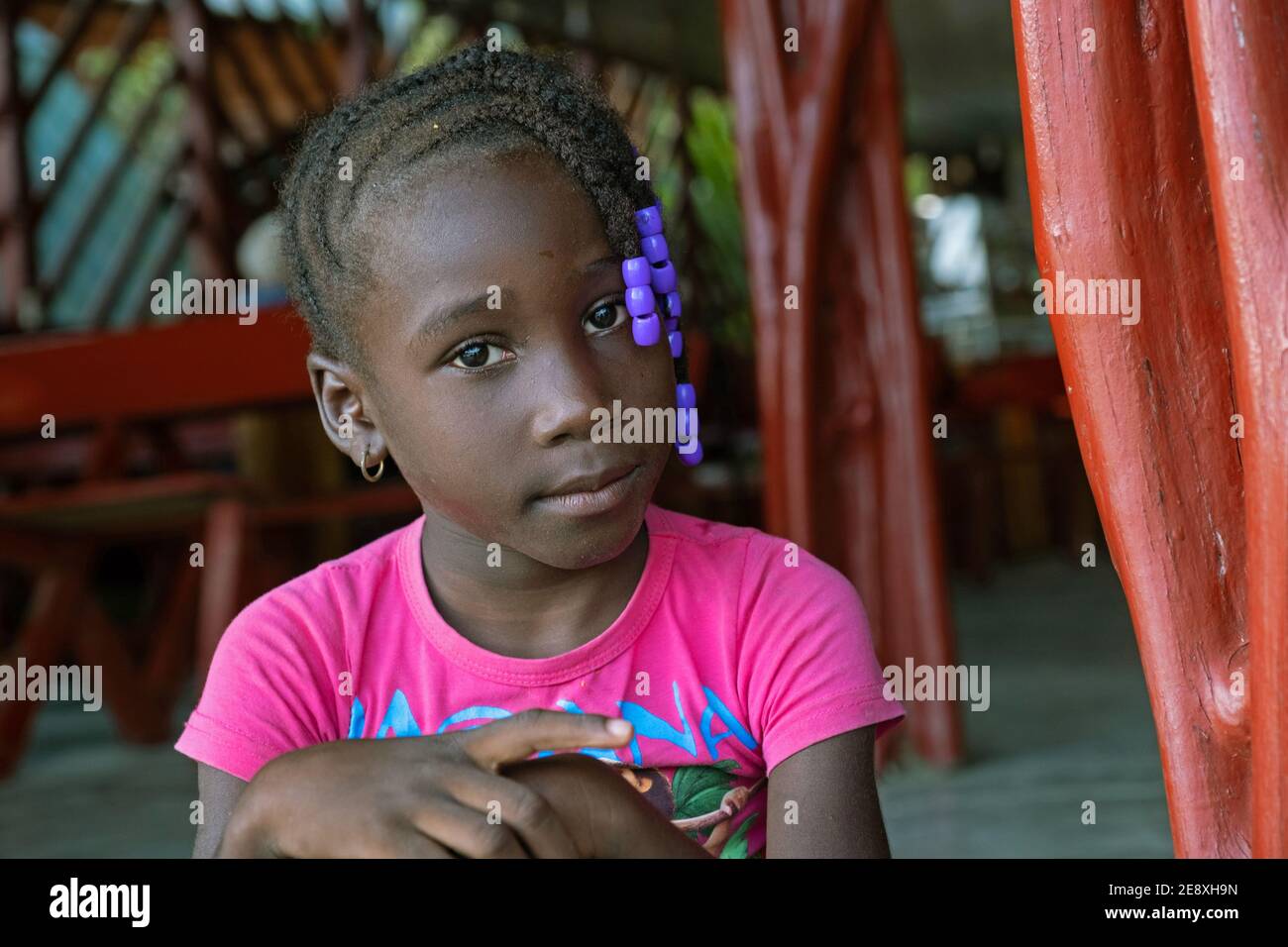 Close-up portrait of young Afro-Surinamese girl with braided hair in ...