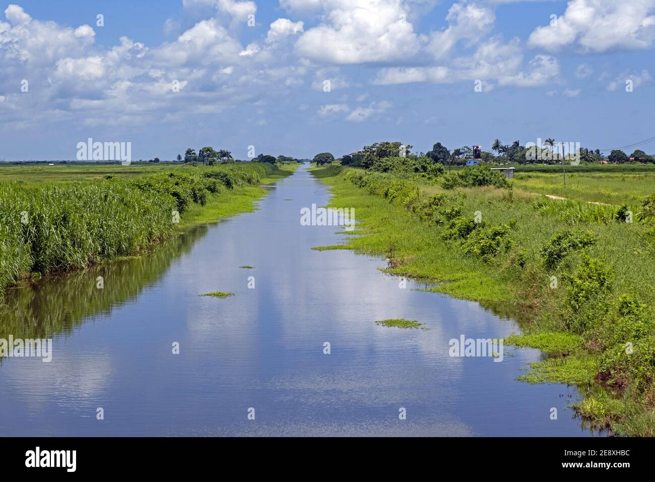 Small canal running through meadows in rural Nieuw Nickerie, Nickerie ...