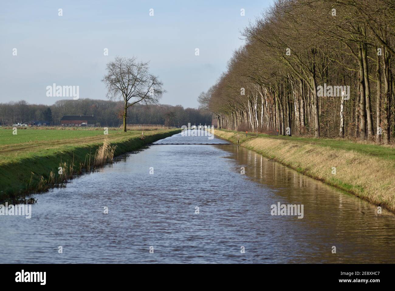 Perspective view of a canal lined with trees in the Dutch countryside ...