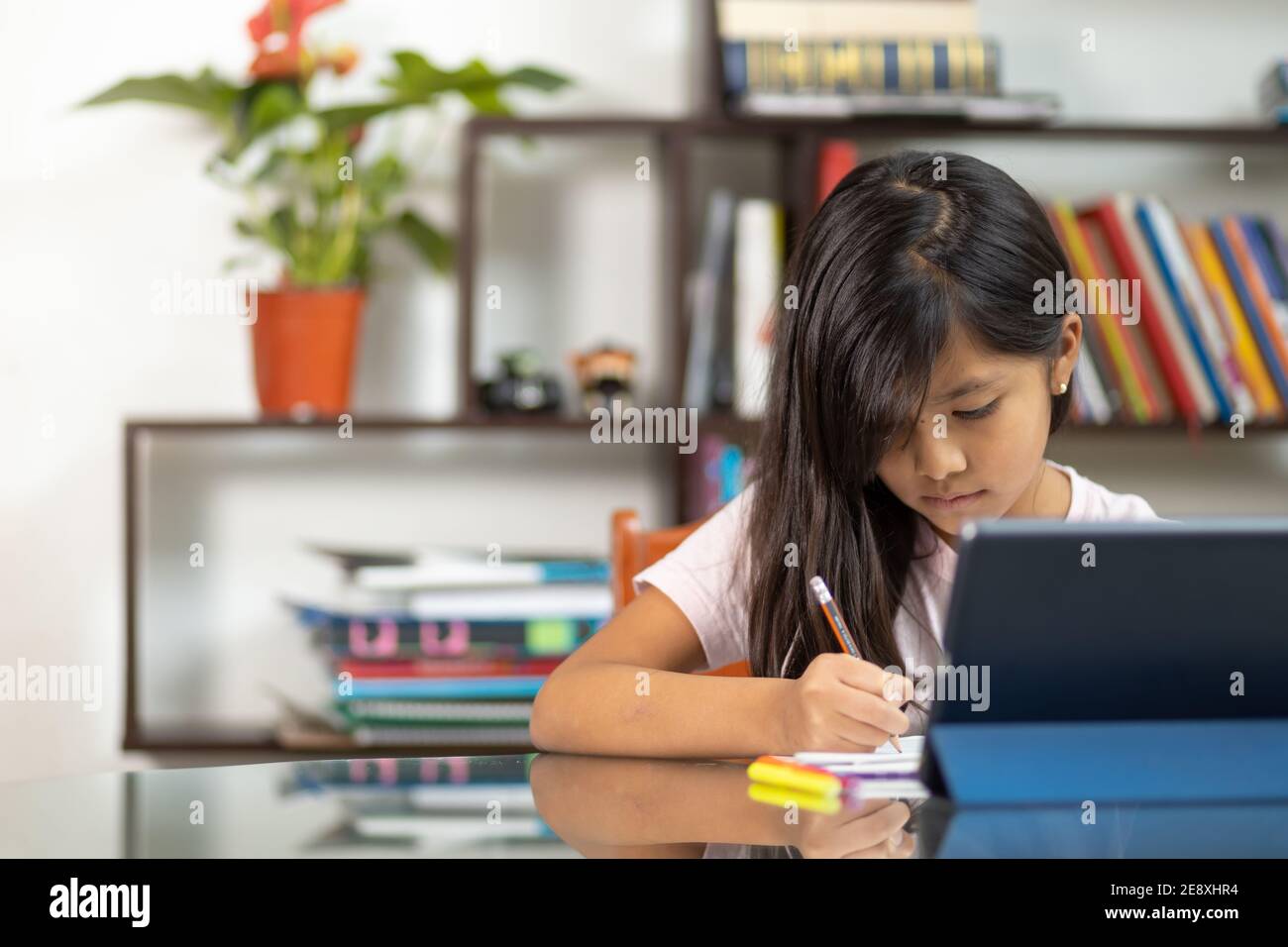 Pretty Hispanic schoolgirl writing concentrated on her notebook at home ...
