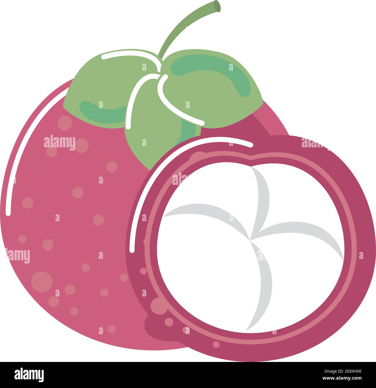 mangosteen fresh fruit icon isolated style vector illustration Stock ...