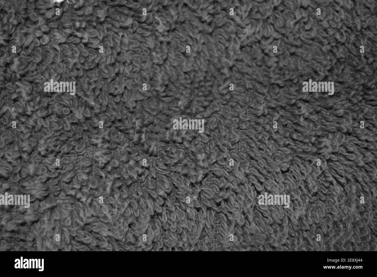 Closeup dark grey carpet texture hi-res stock photography and images ...