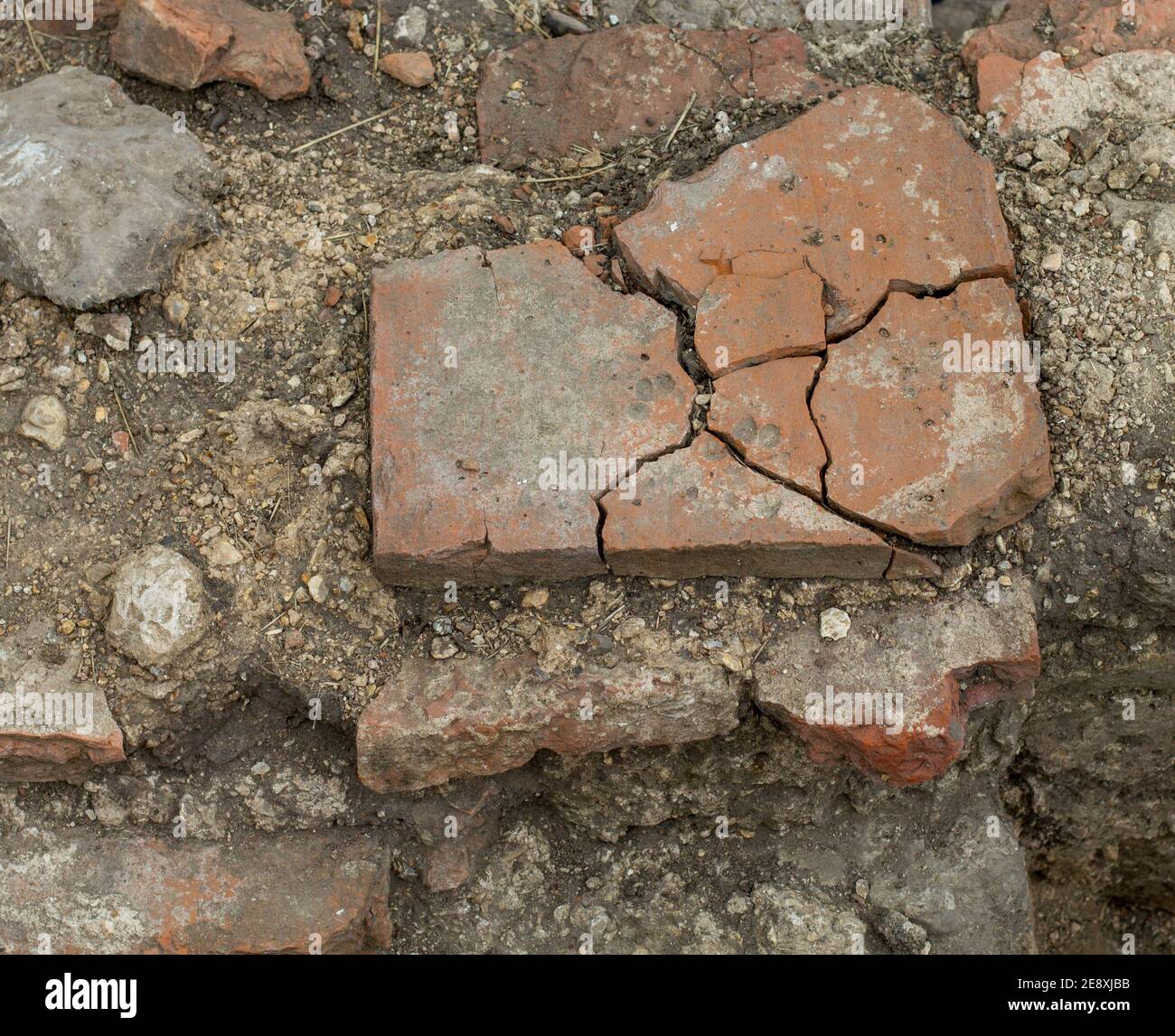 Impression of an animal paw print (a cat?) in a tile from the Uni of ...