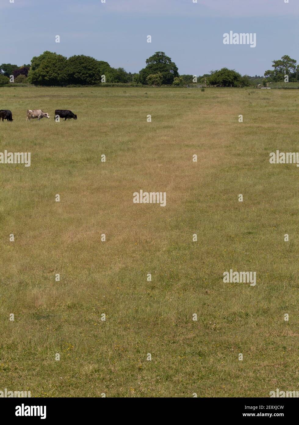 Crop marks hi-res stock photography and images - Alamy