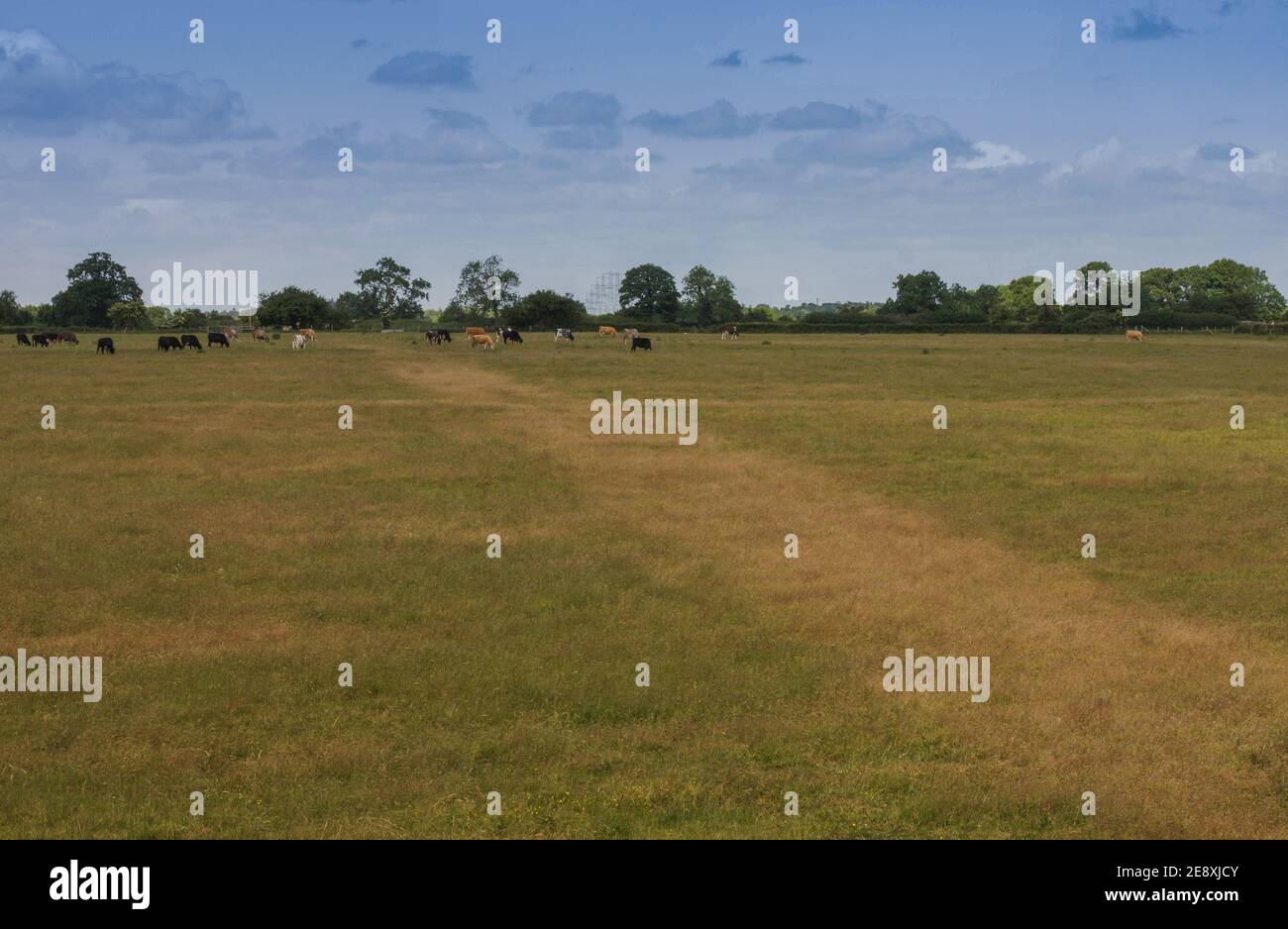 Crop marks hi-res stock photography and images - Alamy