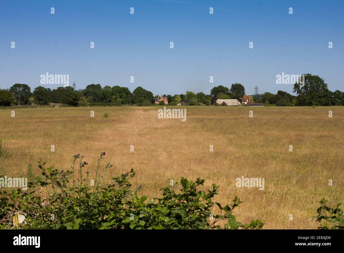 Crop marks hi-res stock photography and images - Alamy