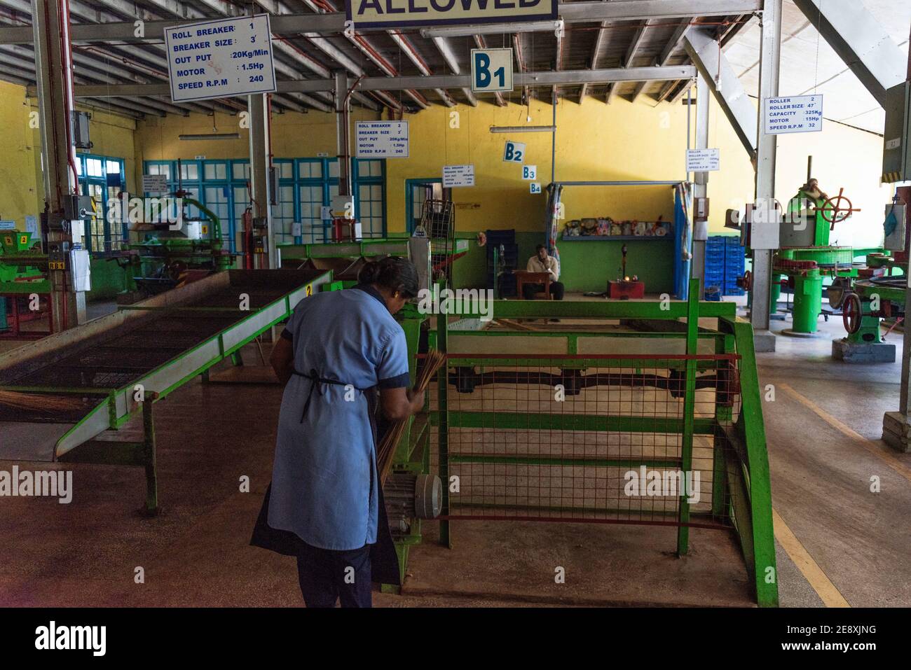 Interior of the Damro Tea factory in Sri Lanka Stock Photo - Alamy