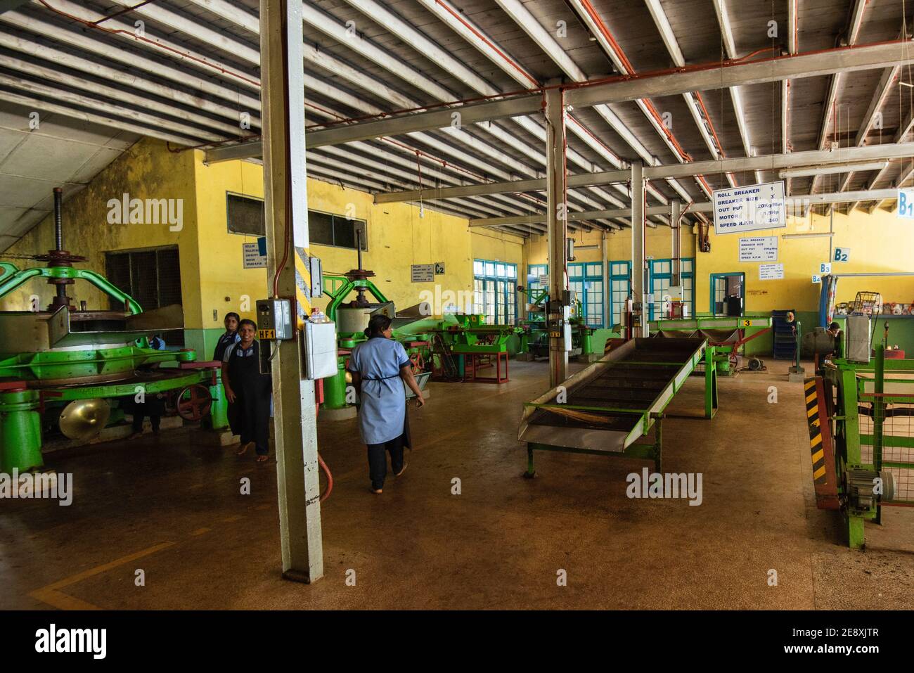 Interior of the Damro Tea factory in Sri Lanka Stock Photo - Alamy