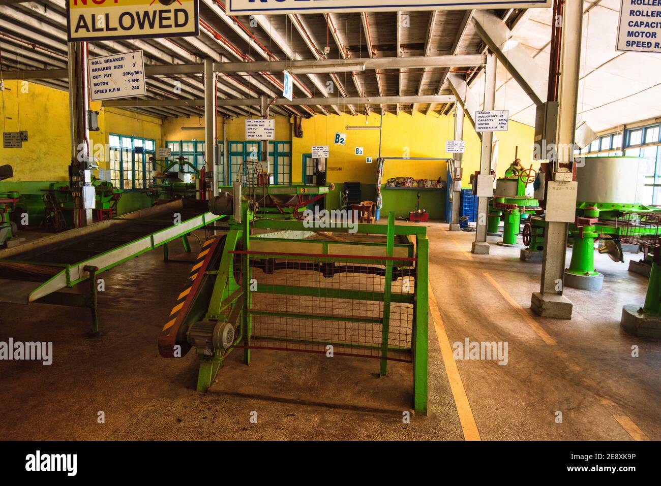 Interior of the Damro Tea factory in Sri Lanka Stock Photo - Alamy