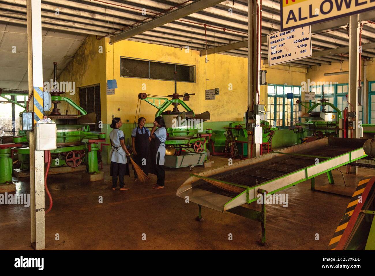 Interior of the Damro Tea factory in Sri Lanka Stock Photo - Alamy