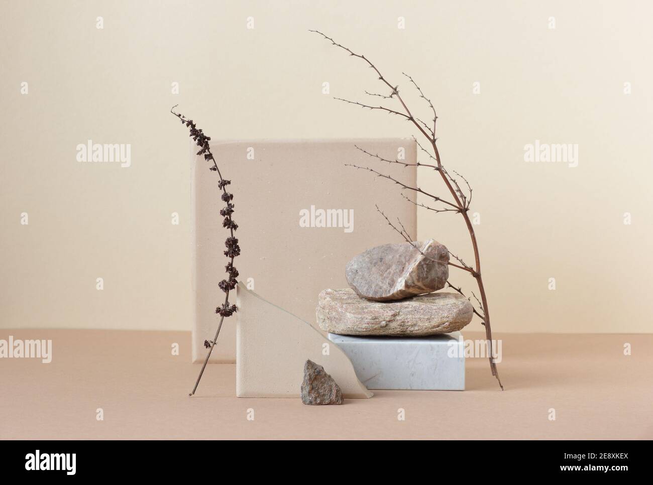 Minimalist monochrome still life composition with natural nature ...