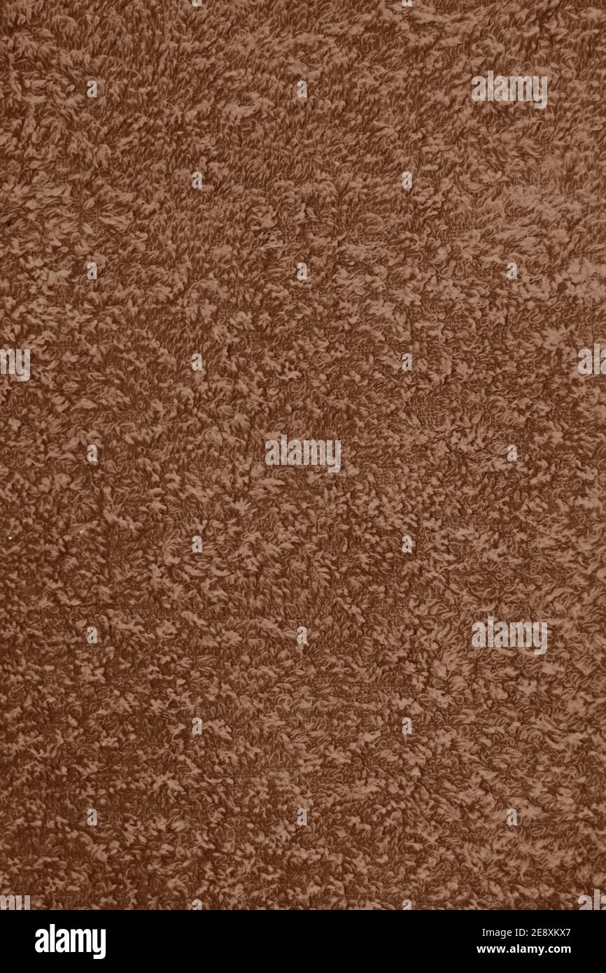 Brown carpet backgrounds and texture. Design element Stock Photo - Alamy