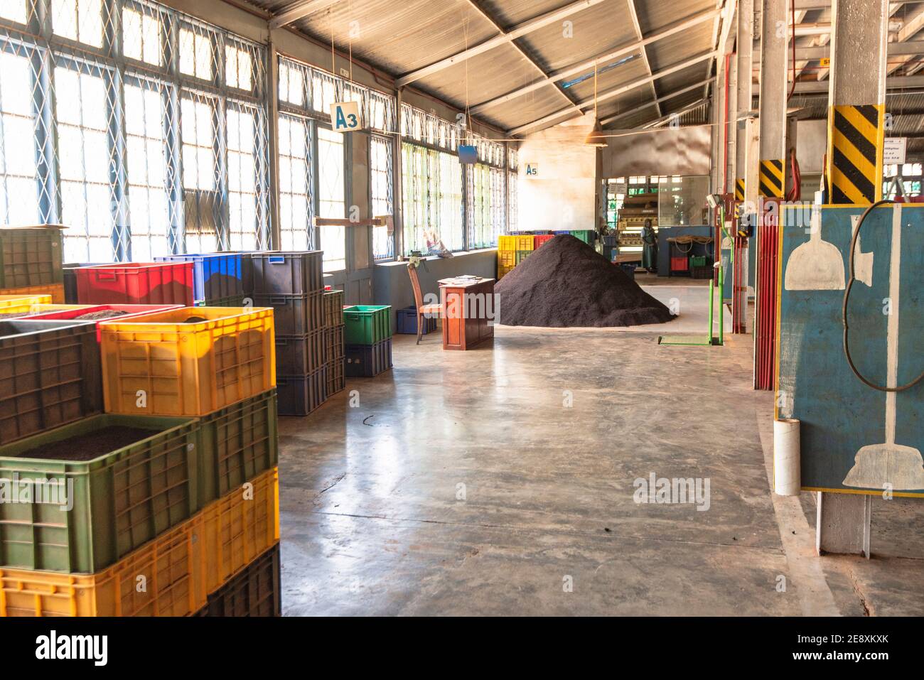 Damro tea estate hi-res stock photography and images - Alamy