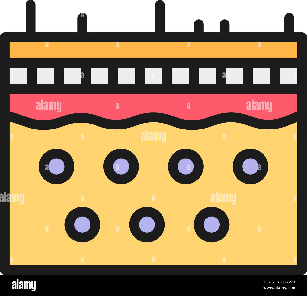 Thin epidermis hi-res stock photography and images - Alamy