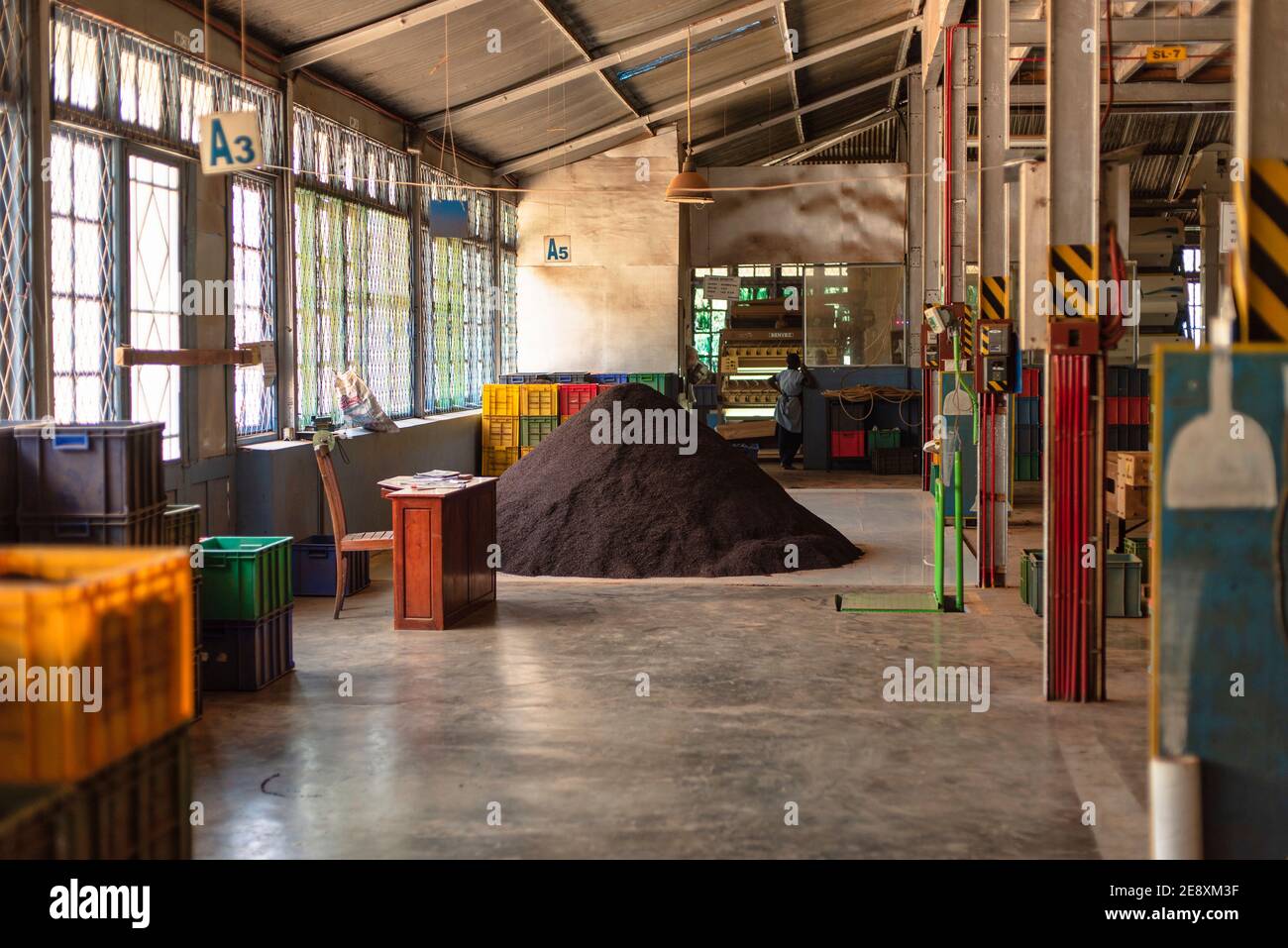 Interior of the Damro Tea factory in Sri Lanka Stock Photo - Alamy