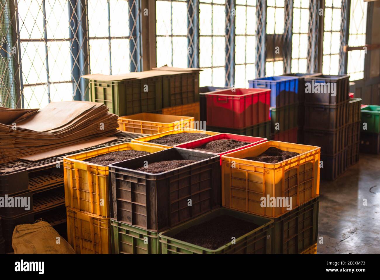 Interior of the Damro Tea factory in Sri Lanka Stock Photo - Alamy