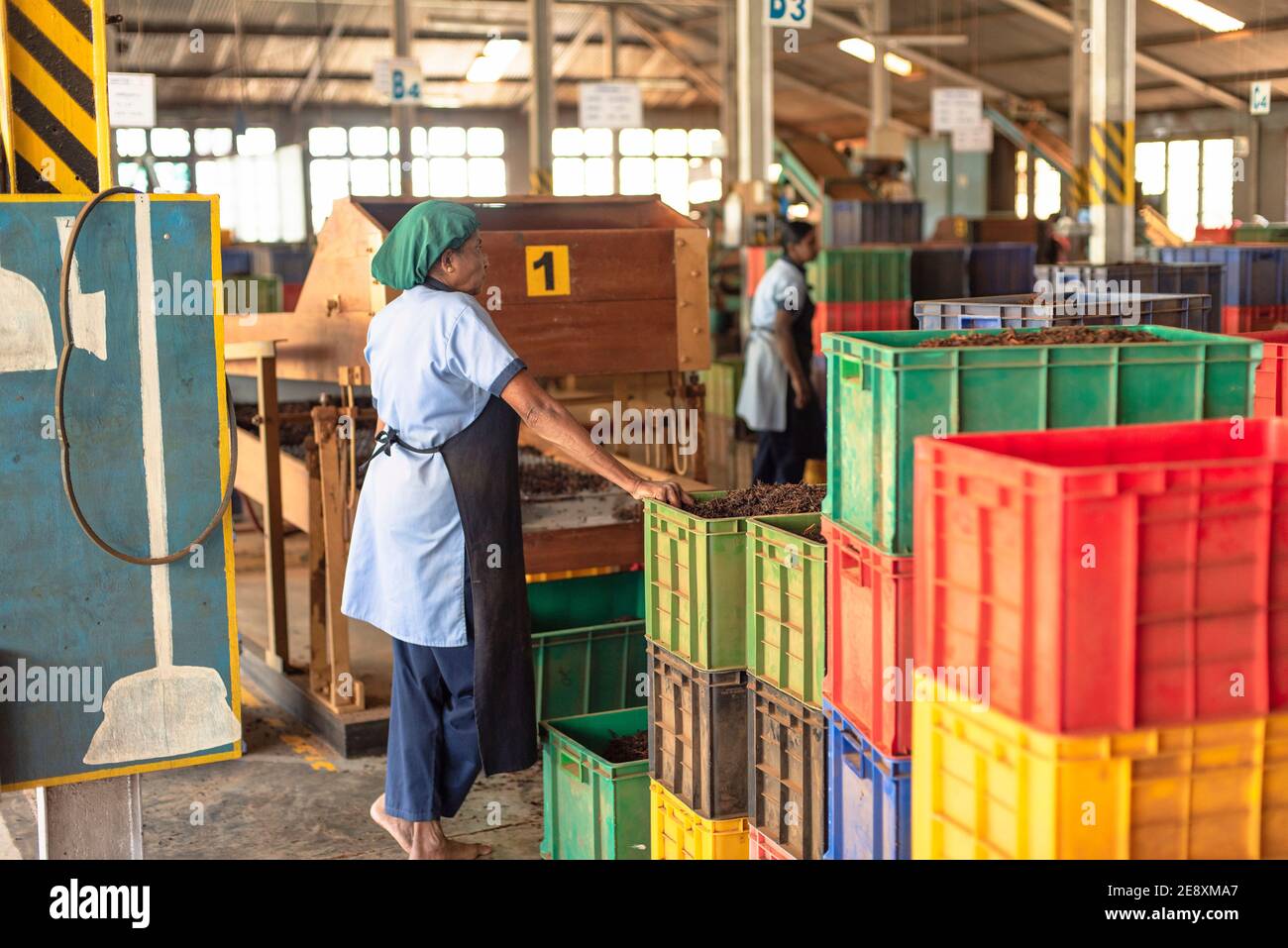Interior of the Damro Tea factory in Sri Lanka Stock Photo - Alamy