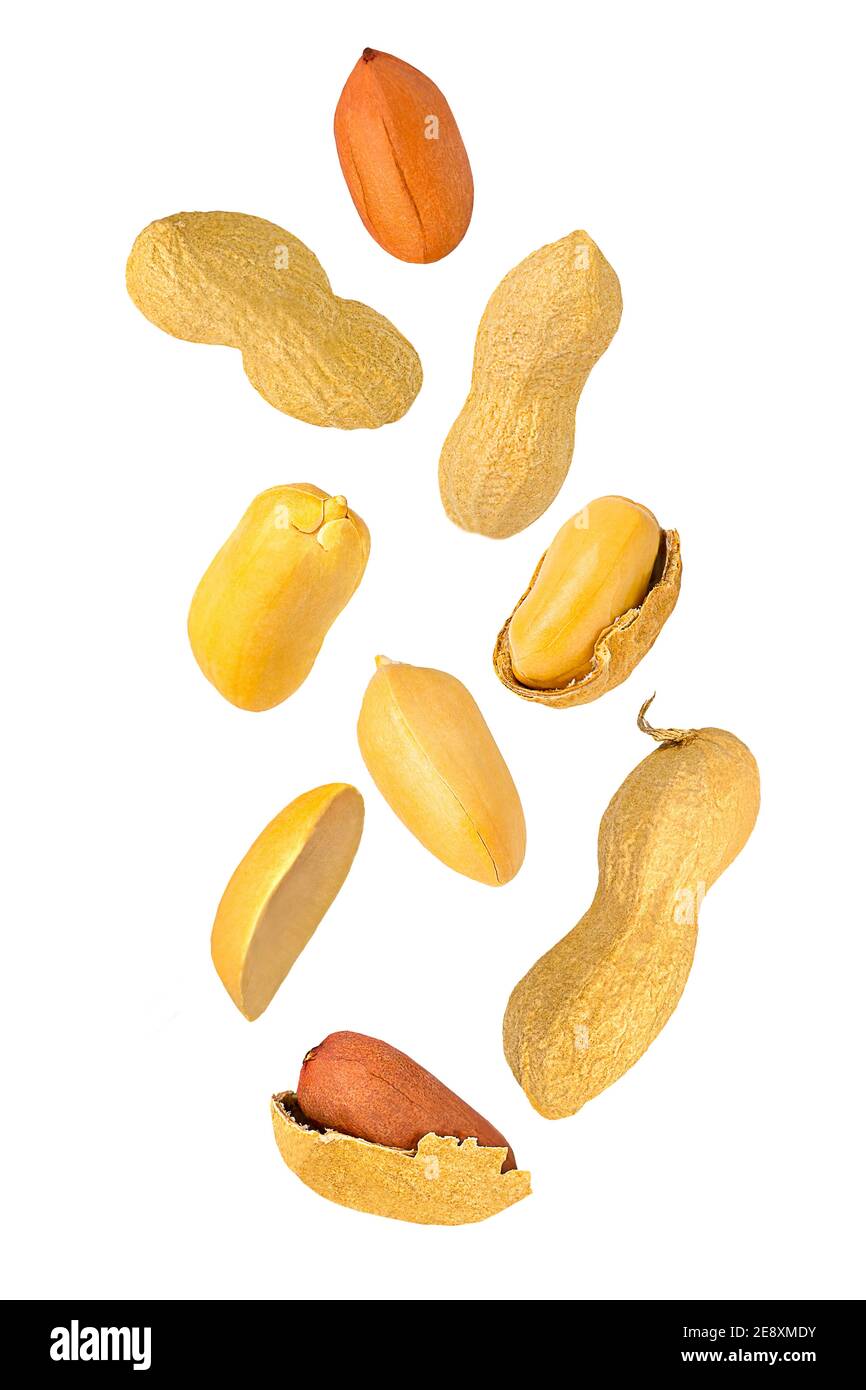 Falling down peanut isolated on white background Stock Photo - Alamy