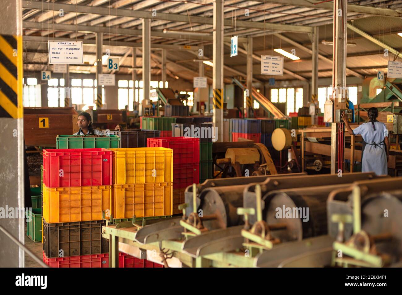 Interior of the Damro Tea factory in Sri Lanka Stock Photo - Alamy