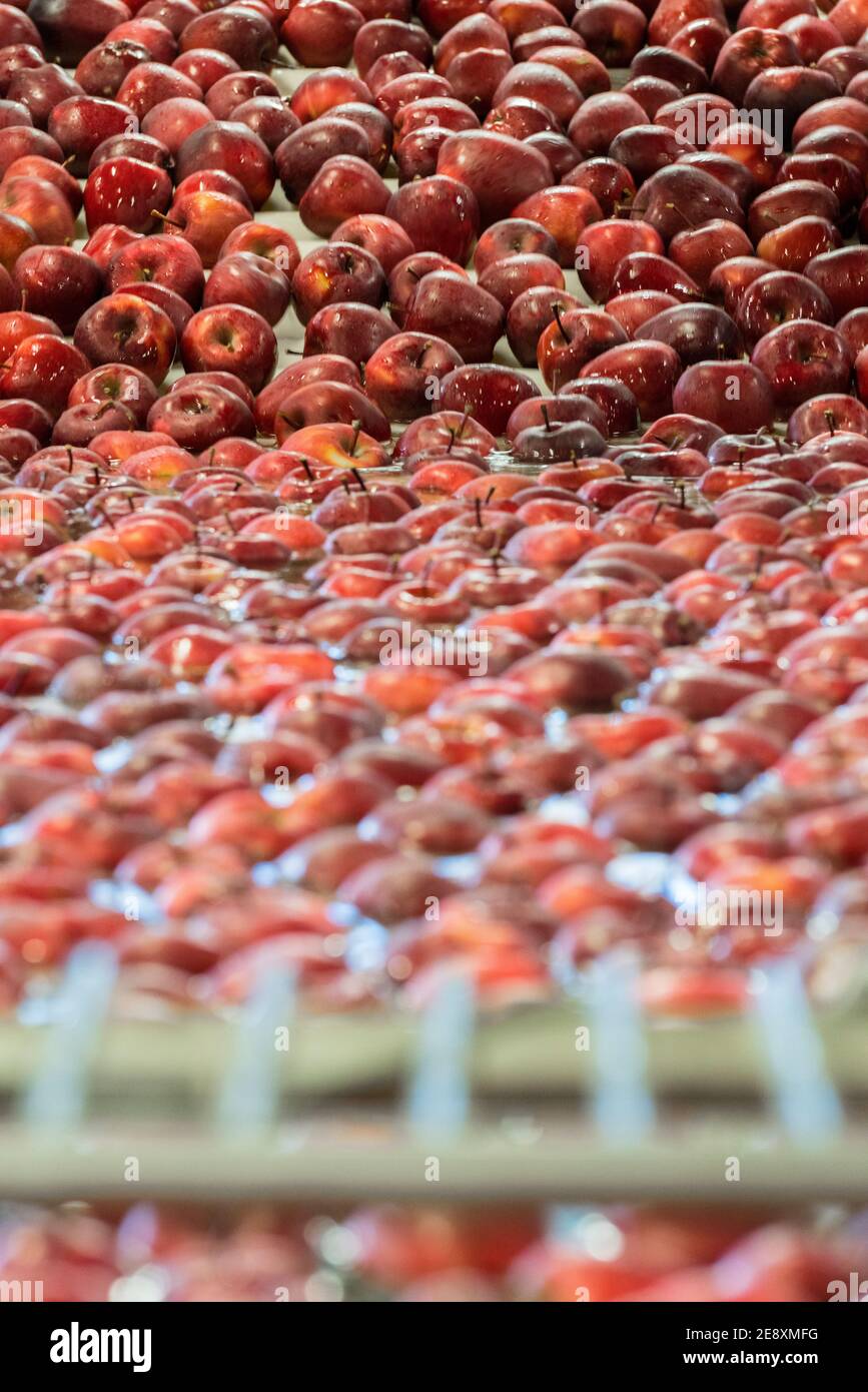 Floating Apple High Resolution Stock Photography and Images - Alamy