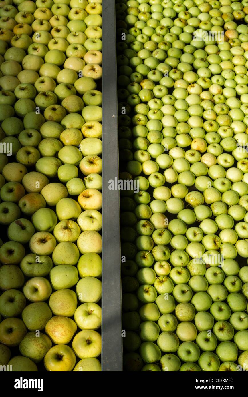 Food washing factory hi-res stock photography and images - Alamy