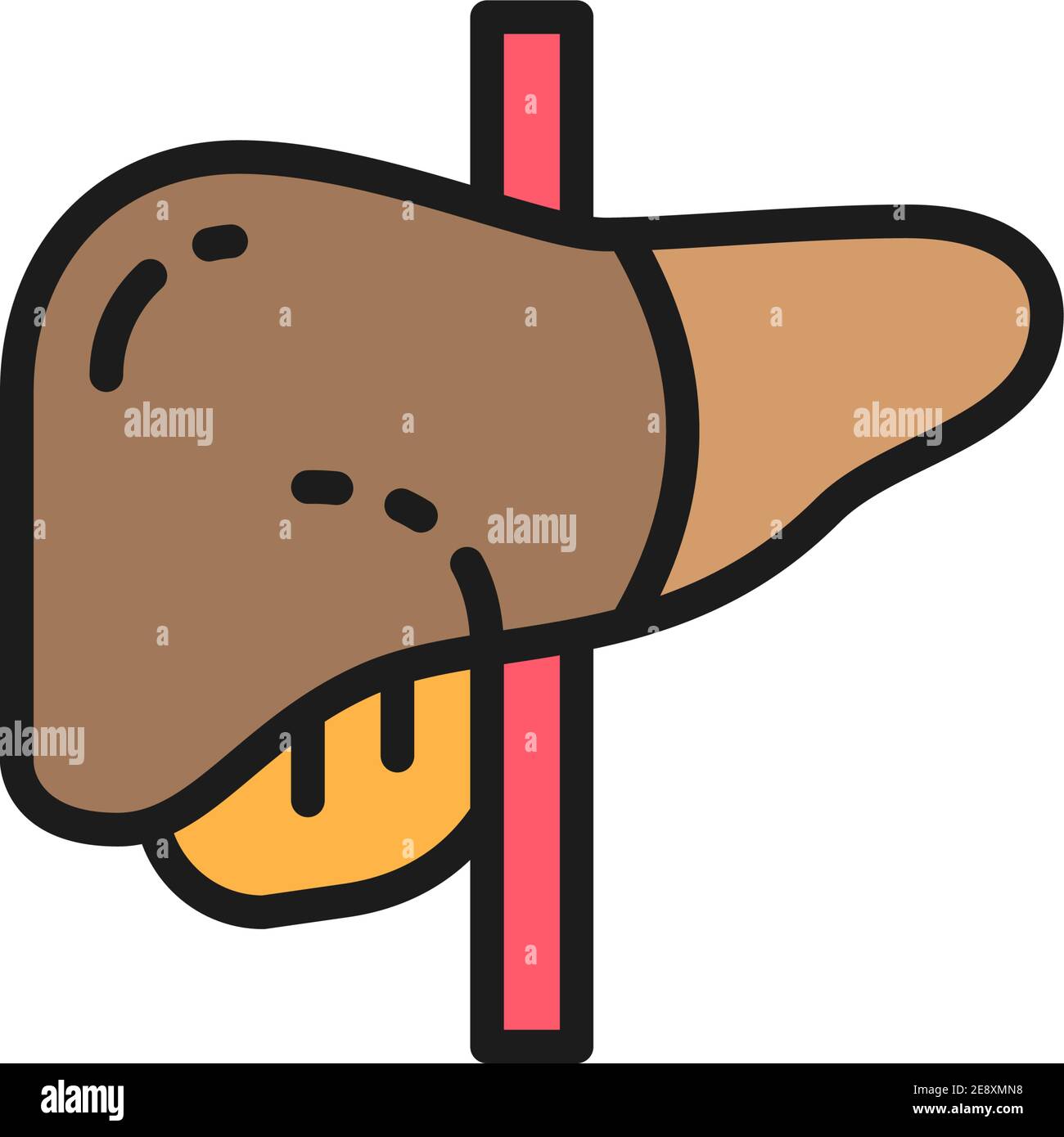 Liver colored by the red Stock Vector Images - Alamy