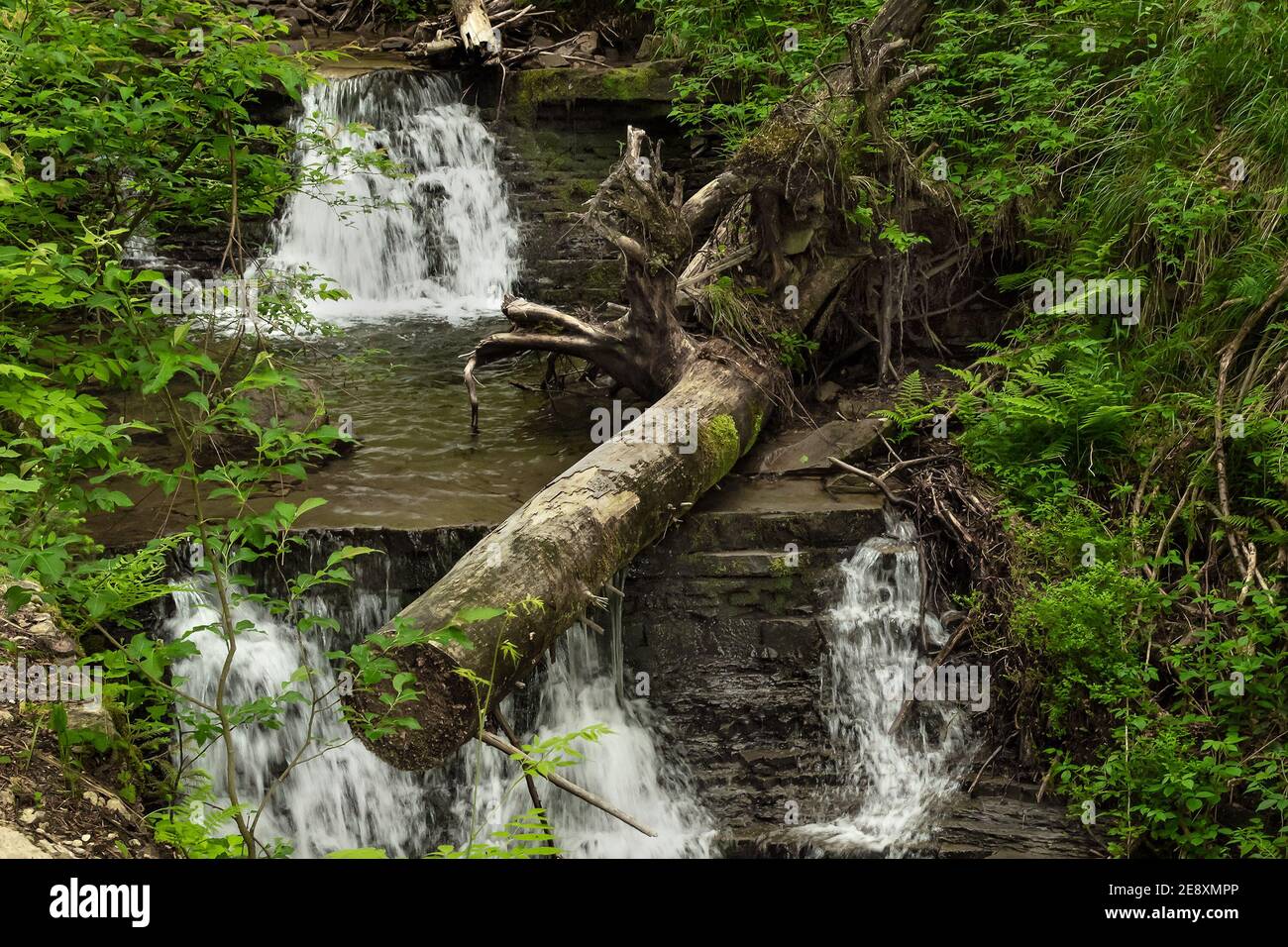 Kaskada hi-res stock photography and images - Alamy