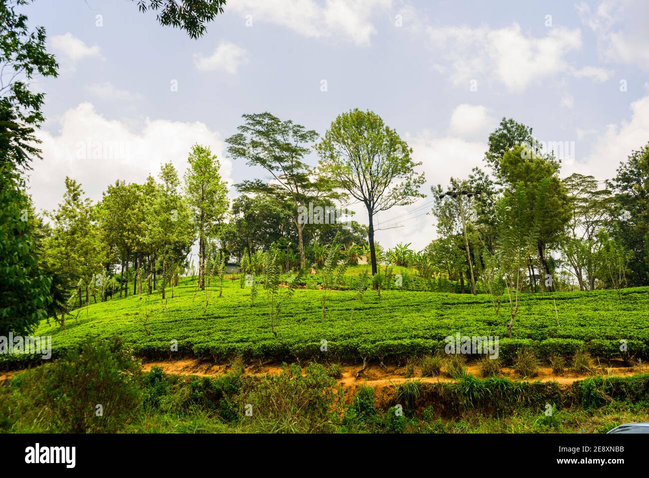 Damro hi-res stock photography and images - Alamy