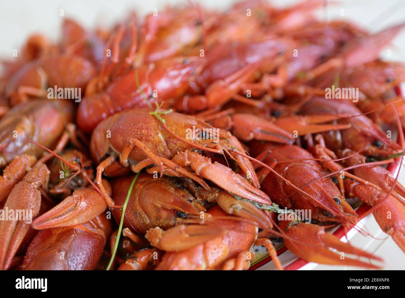 Boiled seasoned crayfish hi-res stock photography and images - Alamy