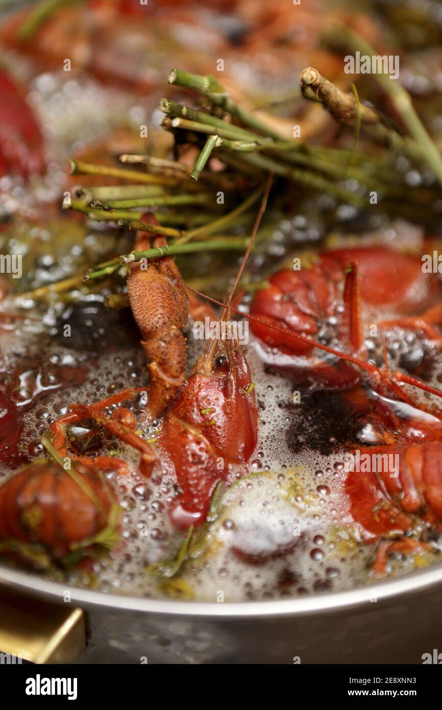 Cooking of crayfish with spices in the pan Stock Photo - Alamy
