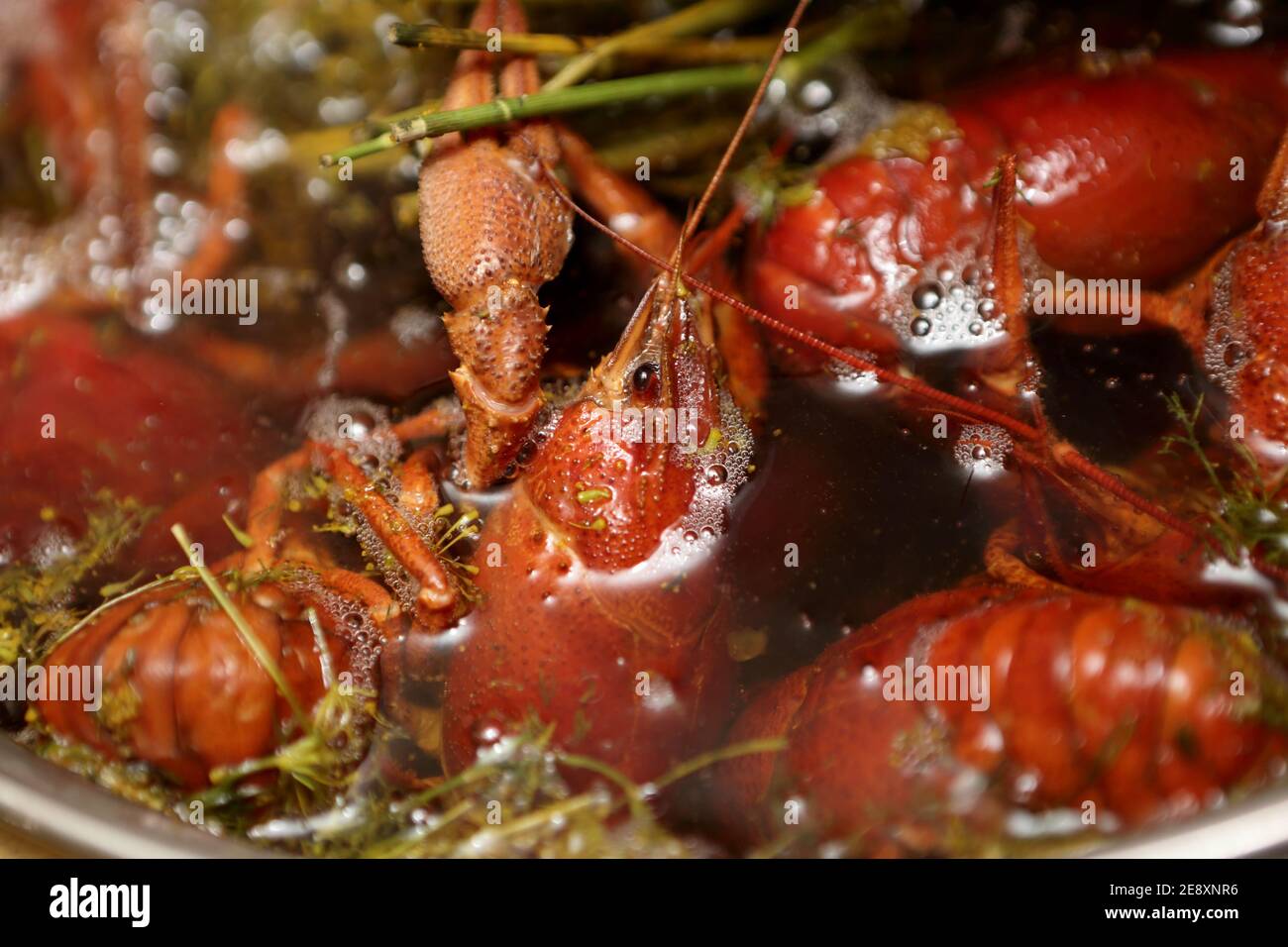 Boiled seasoned crayfish hi-res stock photography and images - Alamy