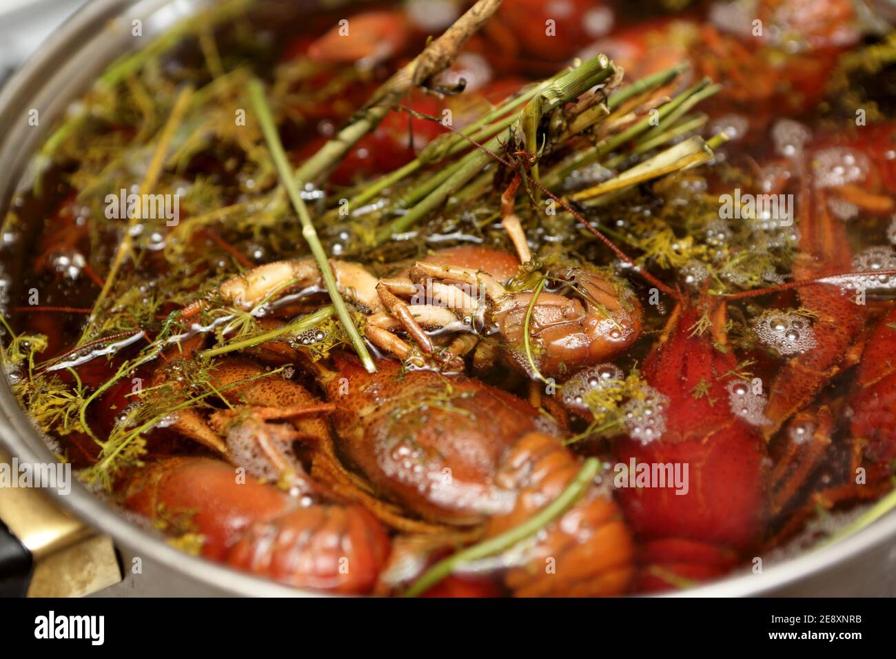 Cooking of crayfish in the pan at a kitchen Stock Photo - Alamy