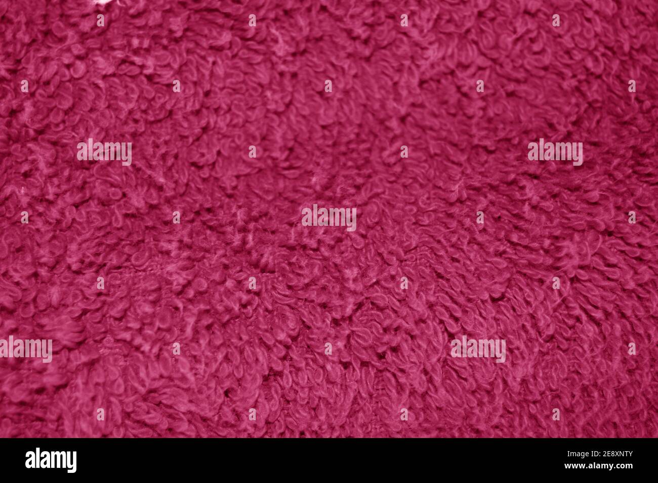 Magenta carpet background and texture. Design element Stock Photo - Alamy