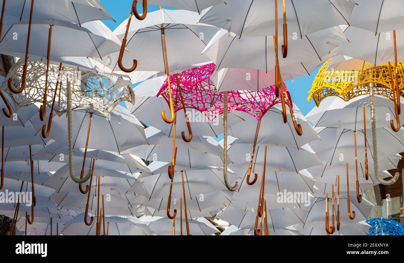 A picture of the iconic street umbrellas of Águeda, in this case a ...
