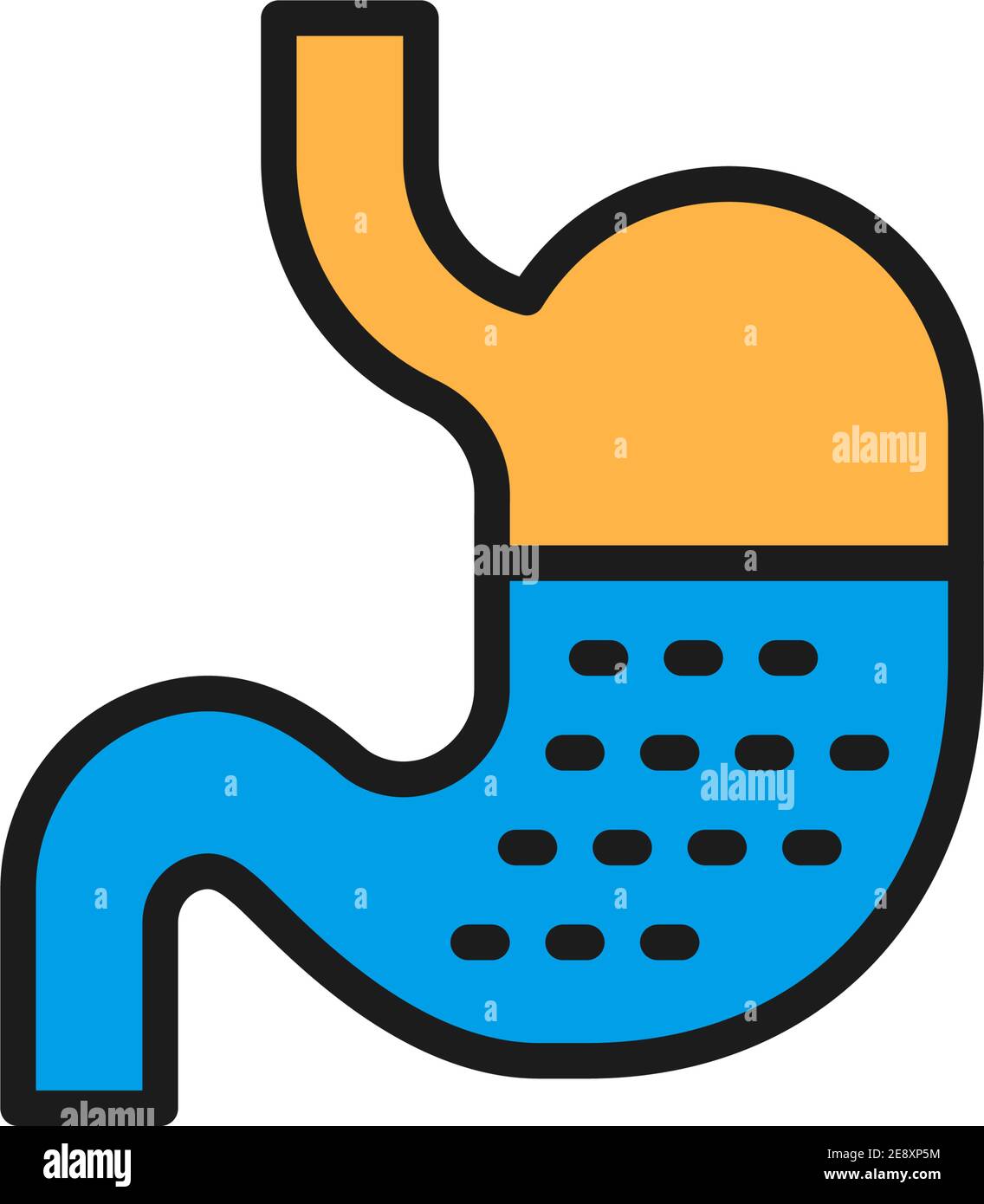 Stomach, human organ flat color line icon. Isolated on white background ...