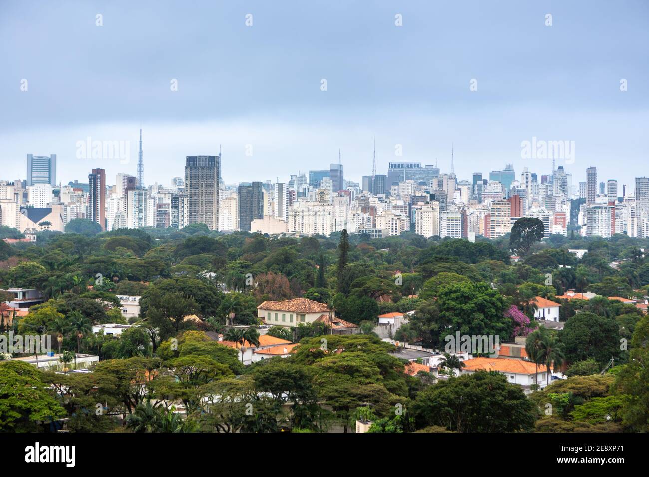 Aerial view of São Paulo city skyline, park, houses and trees and ...