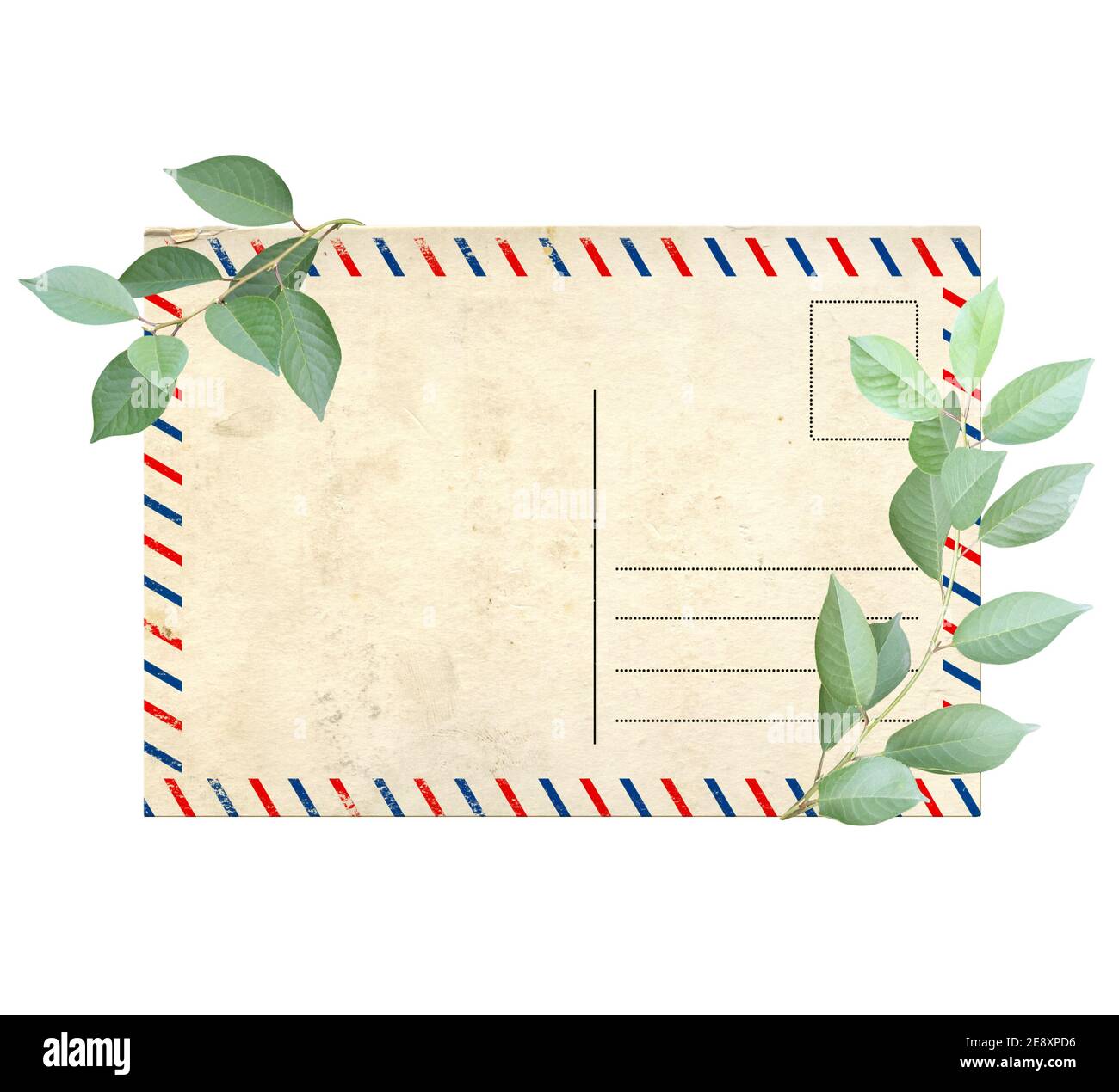 Retro postcard and green leaves. Vintage eco template. Copy space for ...