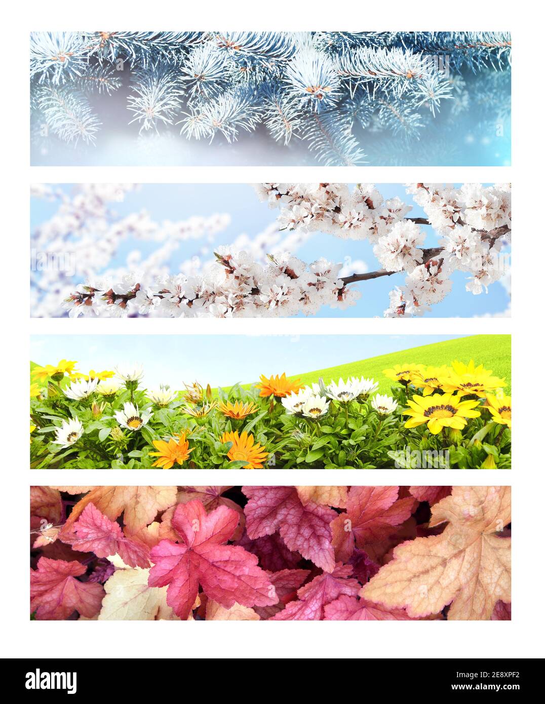Four seasons of year. Set of horizontal nature banners with winter ...