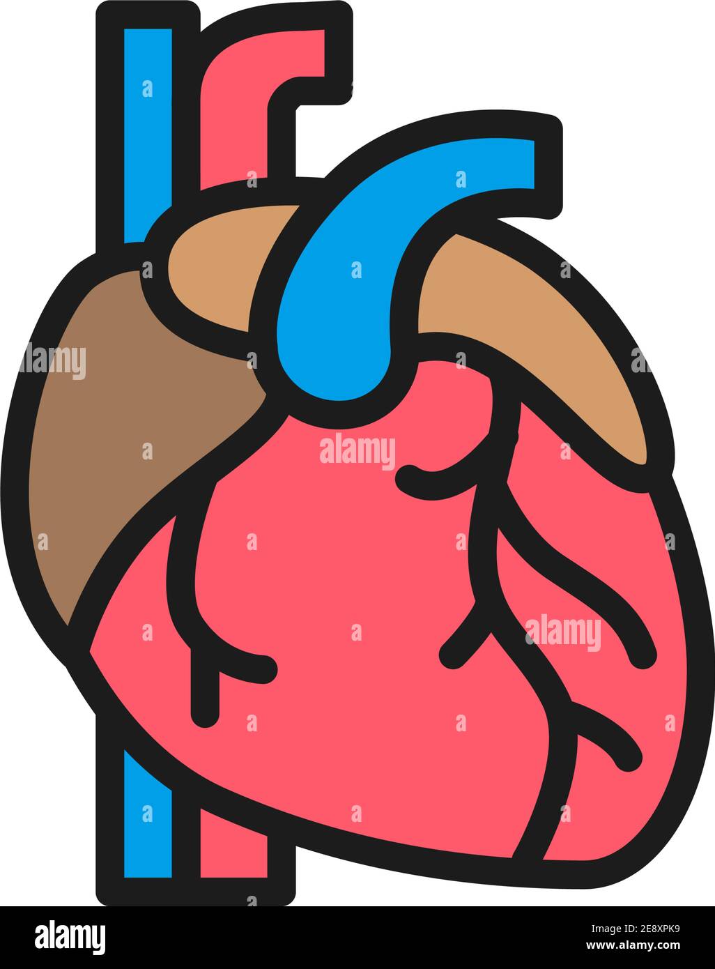 Simple aorta hi-res stock photography and images - Alamy