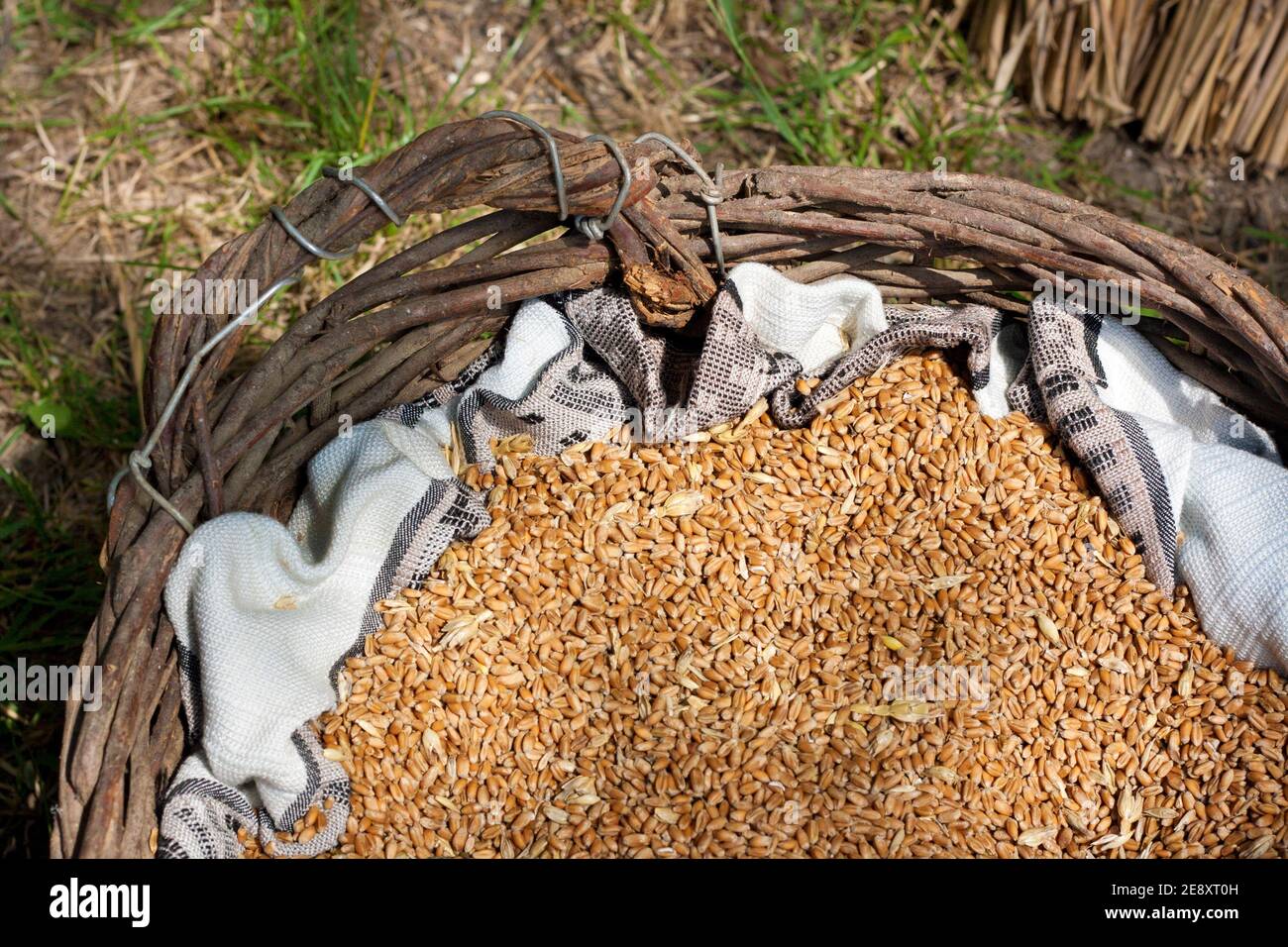 Rustic basket with dry wheat seeds Stock Photo - Alamy