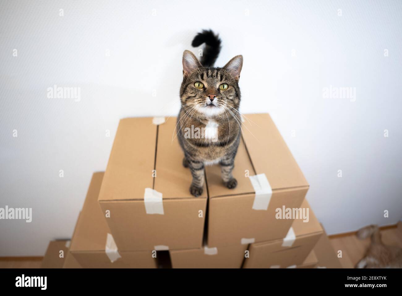 Stacked cardboard boxes hi-res stock photography and images - Alamy
