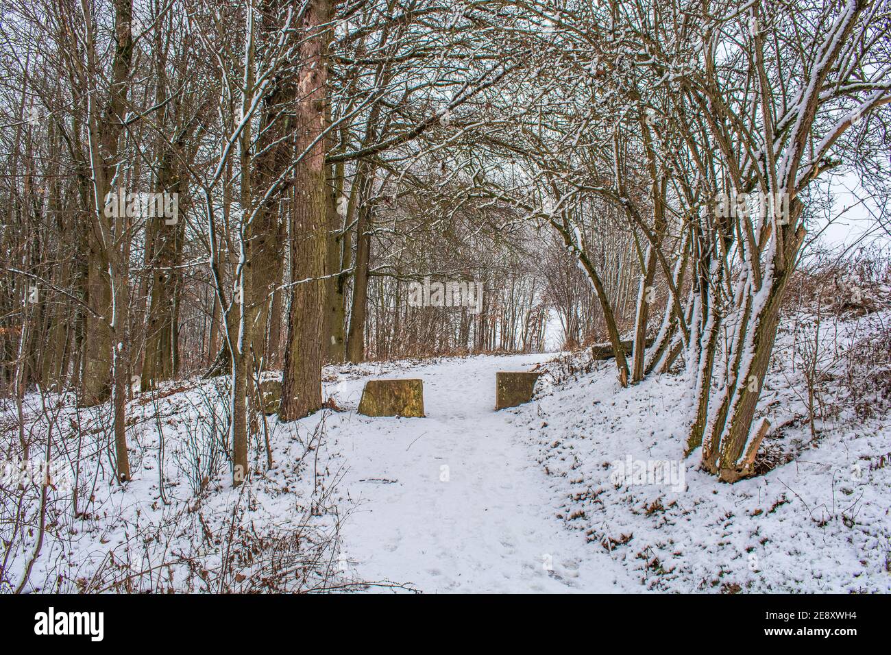 DE - Baden-Württemberg : The snowy path Stock Photo - Alamy