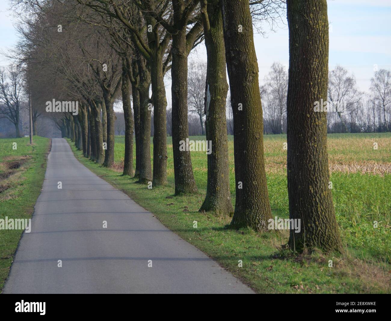 religious cross and trees in germany Stock Photo - Alamy