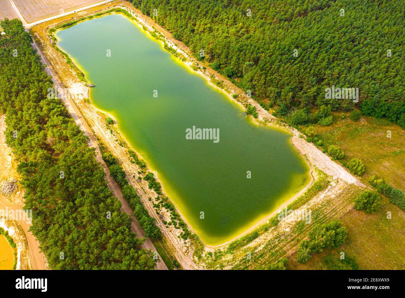 Aerial view of wild forest lake in summer. Small blue lake in green ...