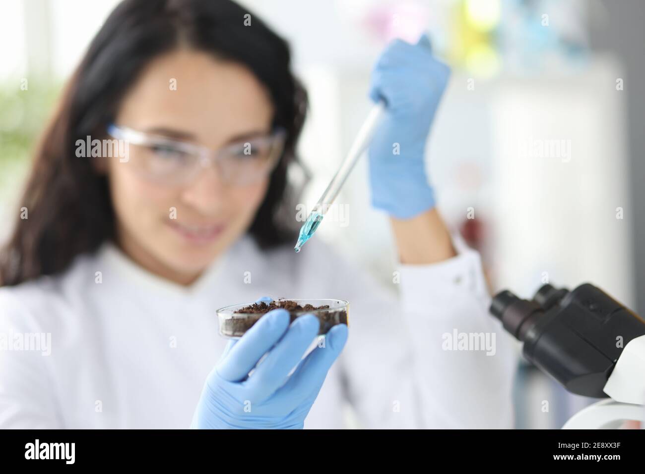 Female scientist dripping liquid from pipette into petri dish with soil ...