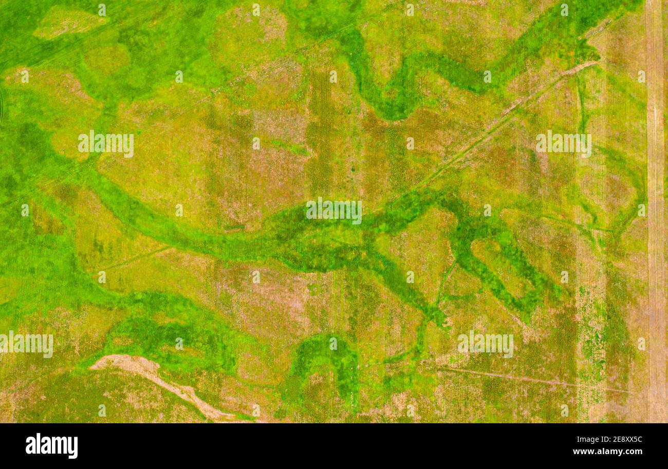 Top view of park, Natural grass texture Stock Photo - Alamy