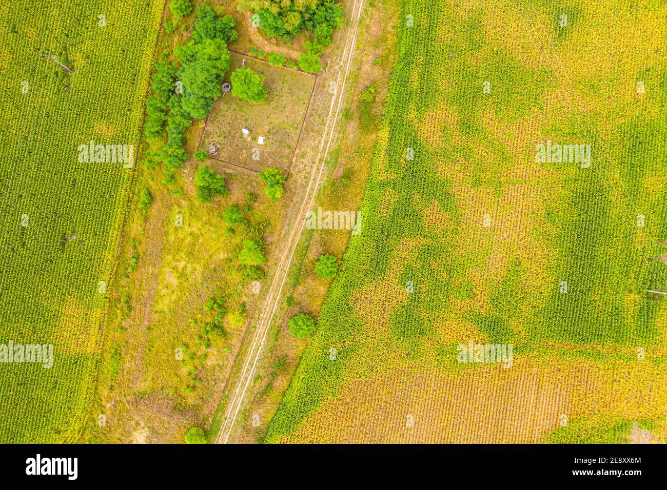 Top view of park, Natural grass texture Stock Photo - Alamy